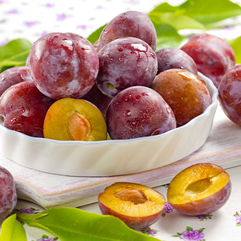 Sadilni material z dostavo po vsej državi.